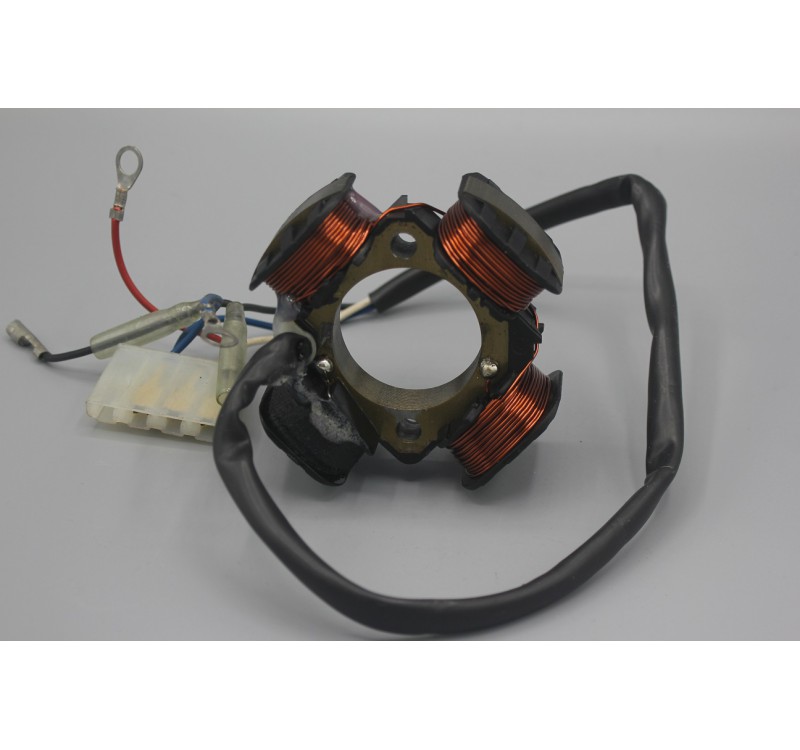 Stator Polini Thor - PPG spare parts - shop.pro-fly.pl