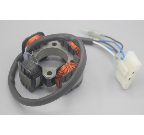 Stator Polini Thor - Części napędów PPG - shop.pro-fly.pl